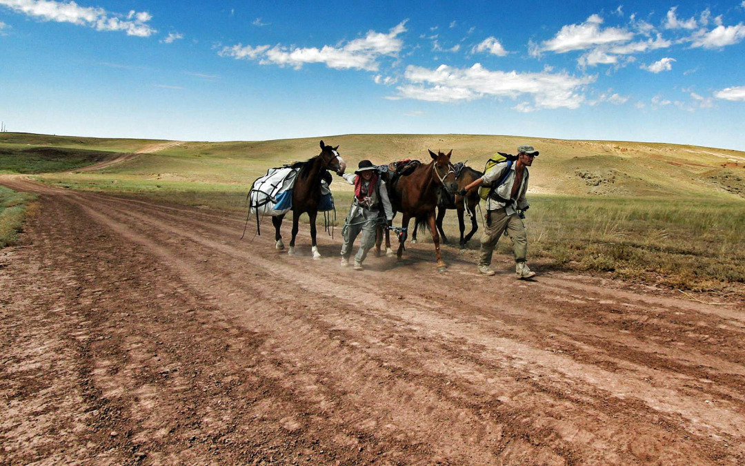 Samples - Custom Writing Service - 10$/page